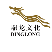 Dinglong Group Fleet Details and History | Planespotters.net