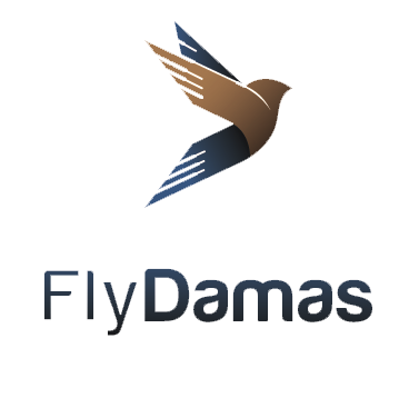 FlyDamas Fleet Details and History