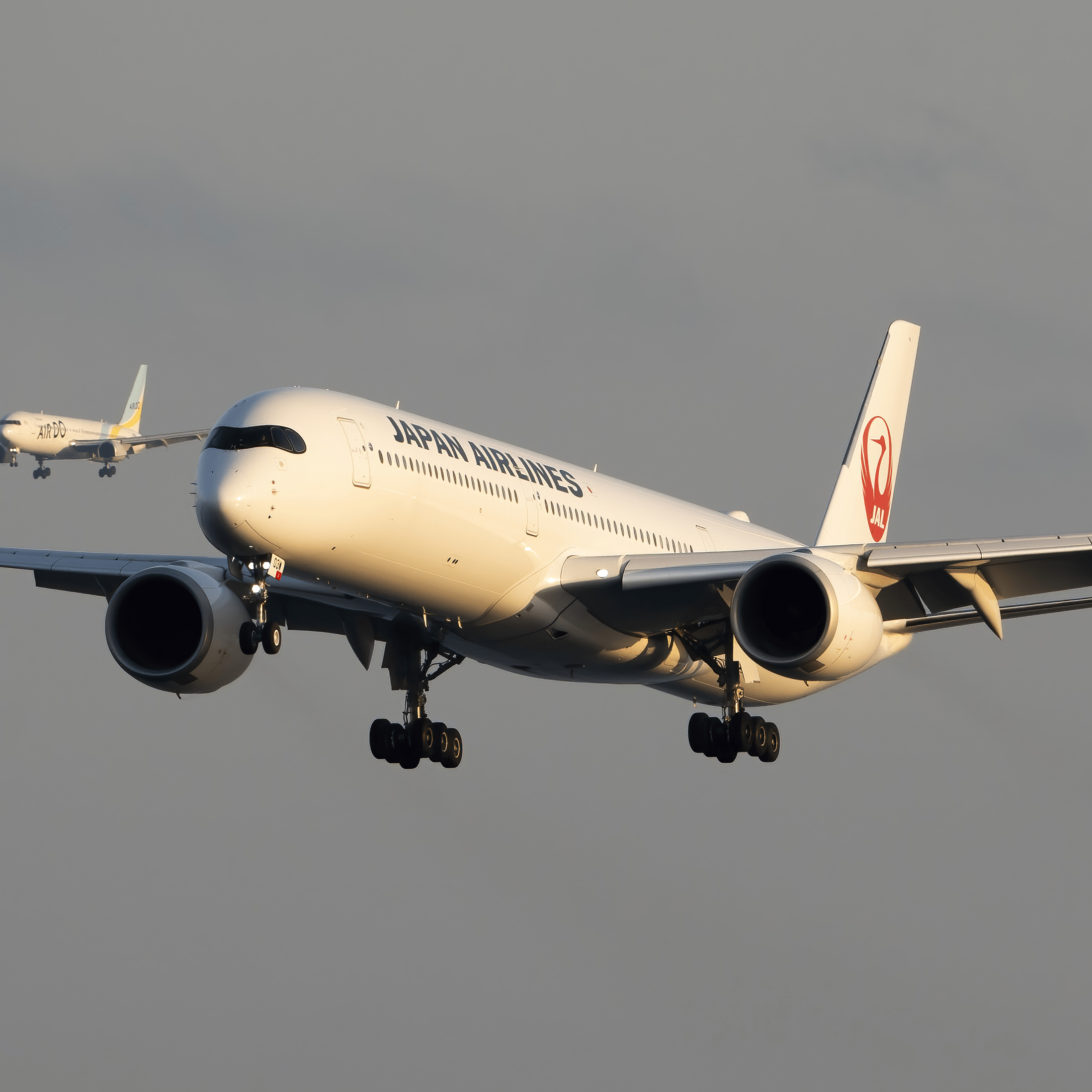 JA28LR Jetstar Japan Airbus A321-251NX Photo by FENG | ID 1887298 ...